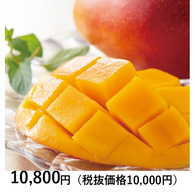 [日本の極み] 北海道産 温泉熱完熟マンゴー 3Lサイズ 450g （お届けは8月20日～11月20日）｜カタログギフトのリンベル[公式]